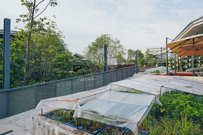 Dadfa: Public Green Space for Friends and Families. Taste Healthy Meals ...